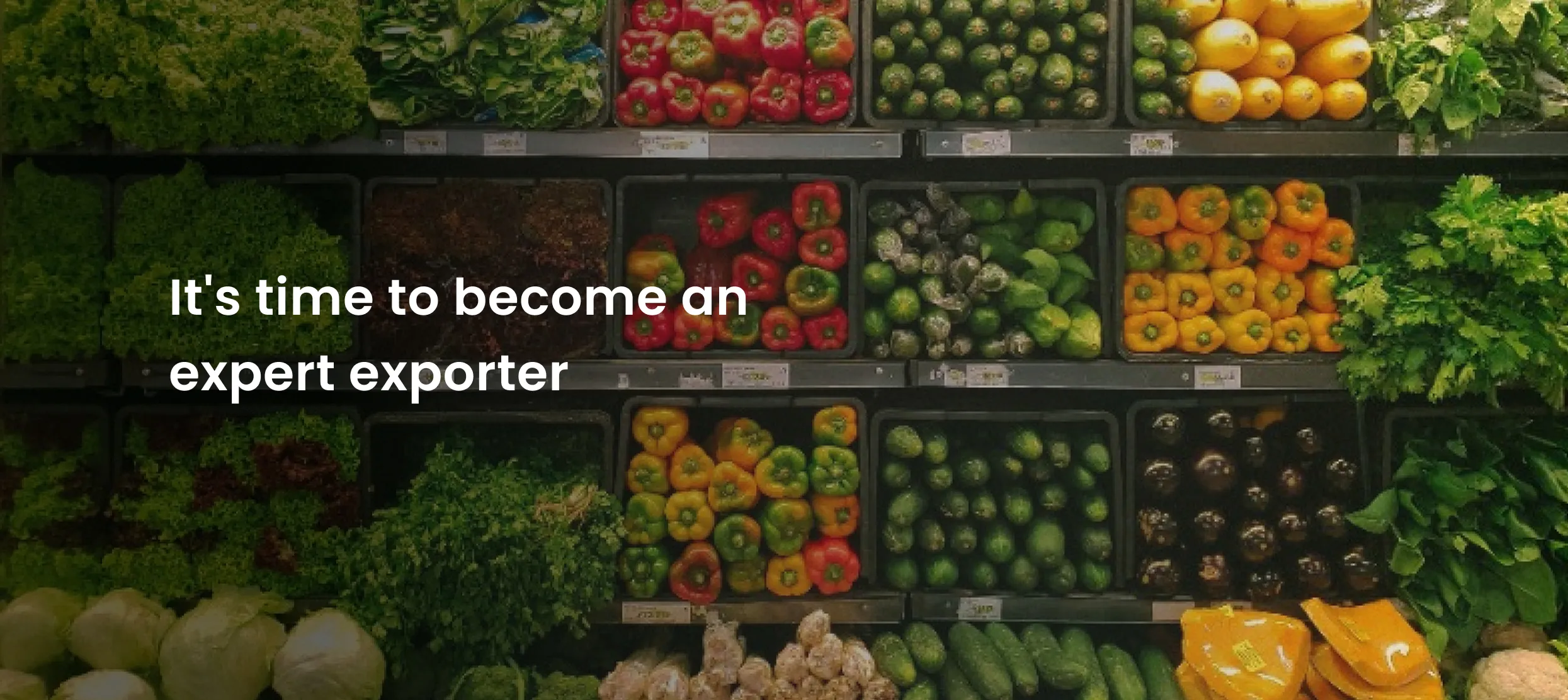 Export Expert Indonesia